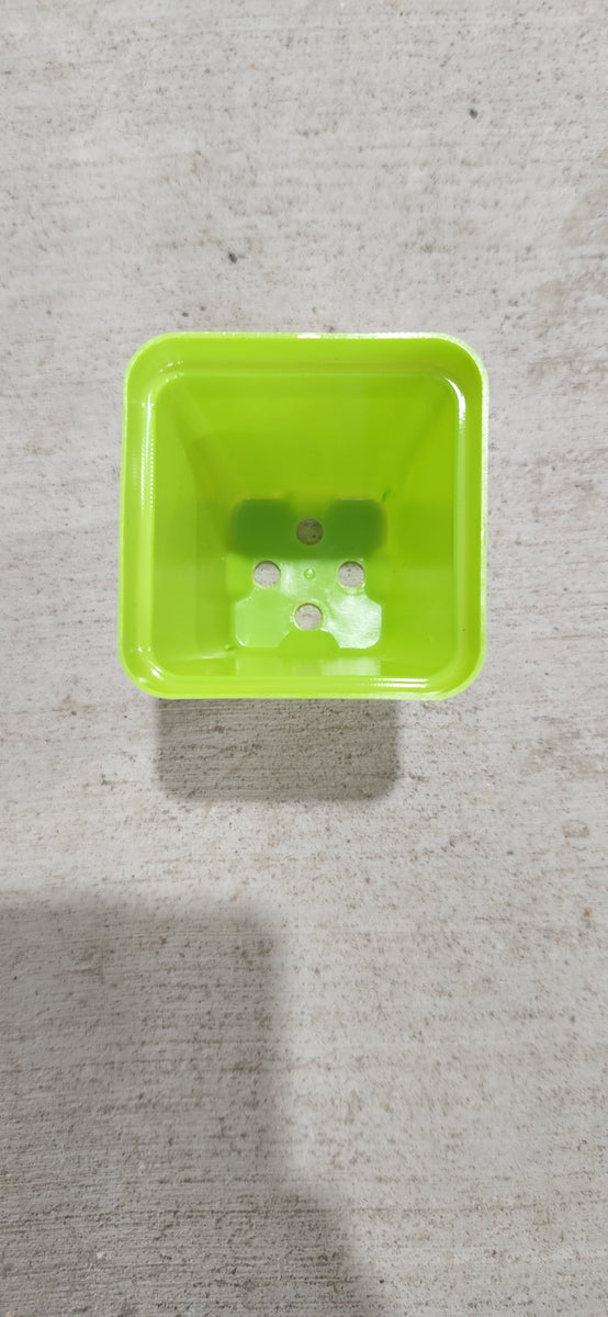 2.5" Extra Strength Pots – DFW Organic Growing